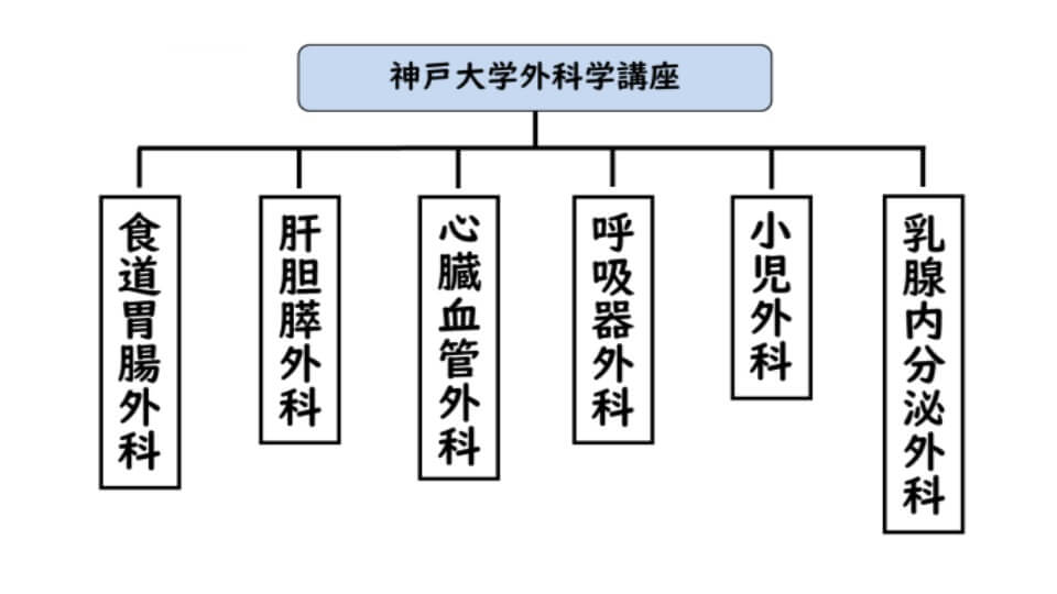 外科学講座について｜神戸大学外科学講座 キャリアサポートセンター｜神戸大学医学部附属病院